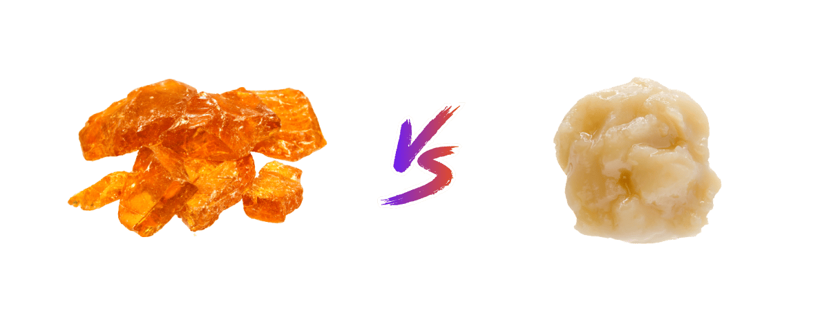 Your Live Rosin Guide: Rosin Compared to Other Concentrates – URSA Extracts