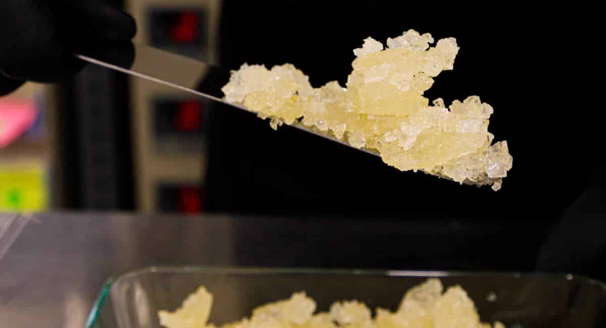 Complete Guide to Cannabis Concentrates & Extracts – URSA Extracts